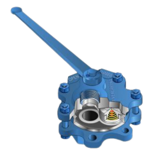 2" EVERLASTING 4000-A BLOWDOWN VALVE CLASS 250 IRON BODY NPT